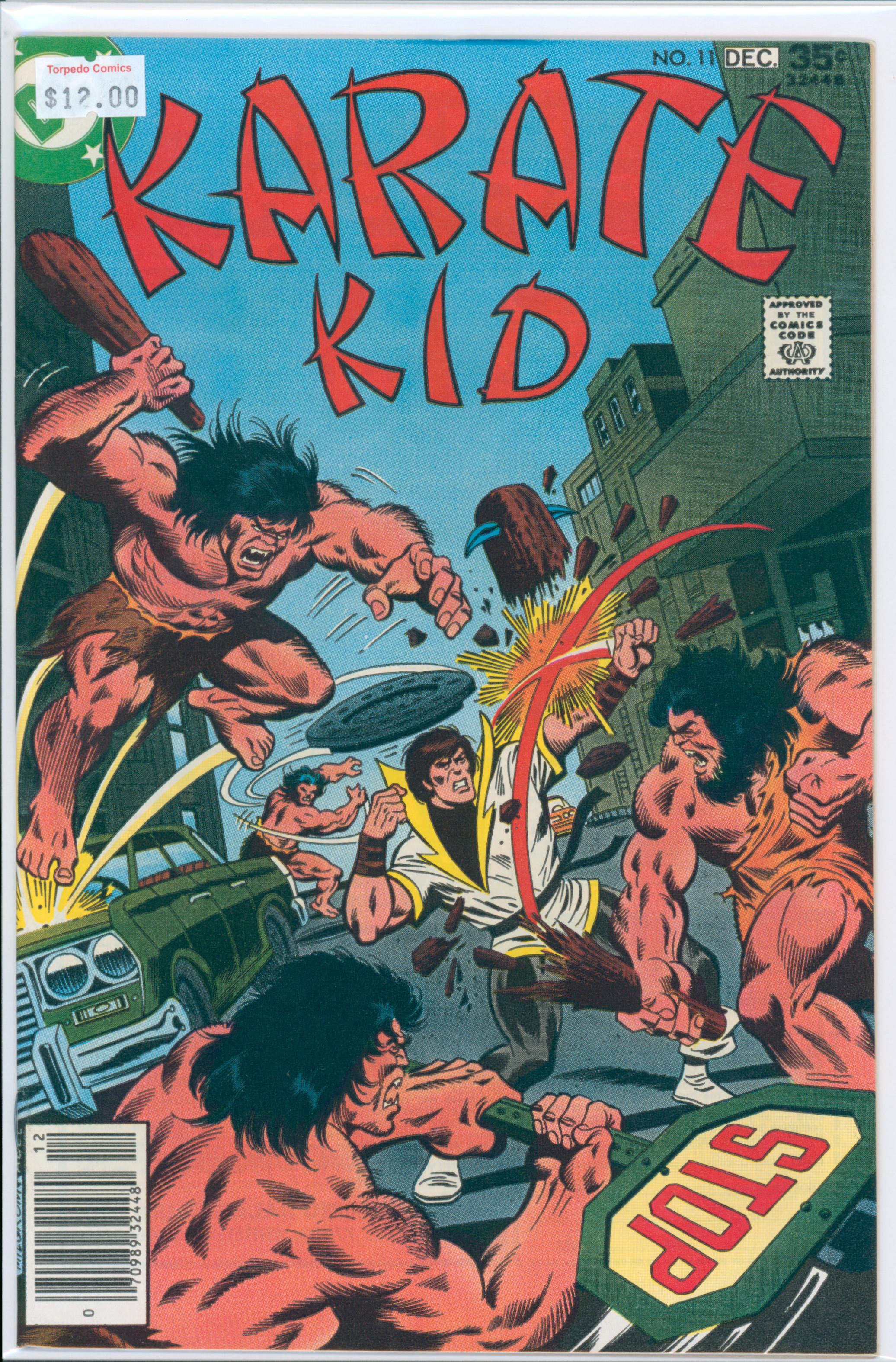 Comics About Karate